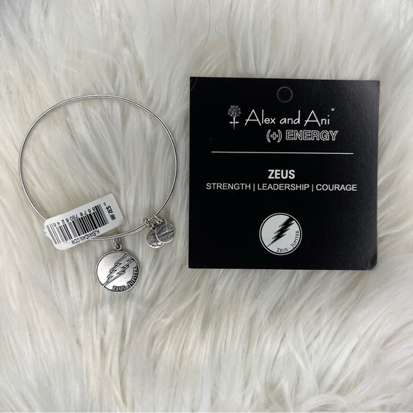 Alex and Ani | Jewelry | Alex And Ani Zeus Jupiter Rafaelian Silver ...